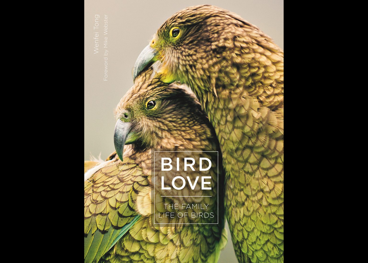 NEW DATE! Bird Love: The Family Life of Birds – Science on Tap