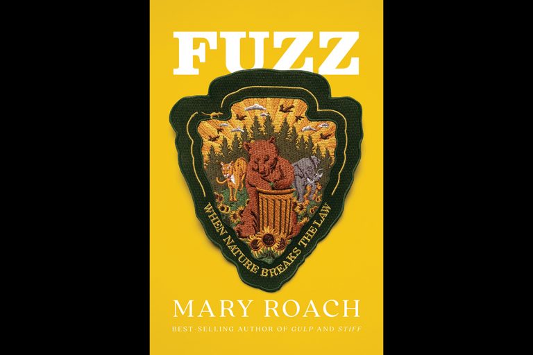 Fuzz: When Nature Breaks the Law – Science on Tap